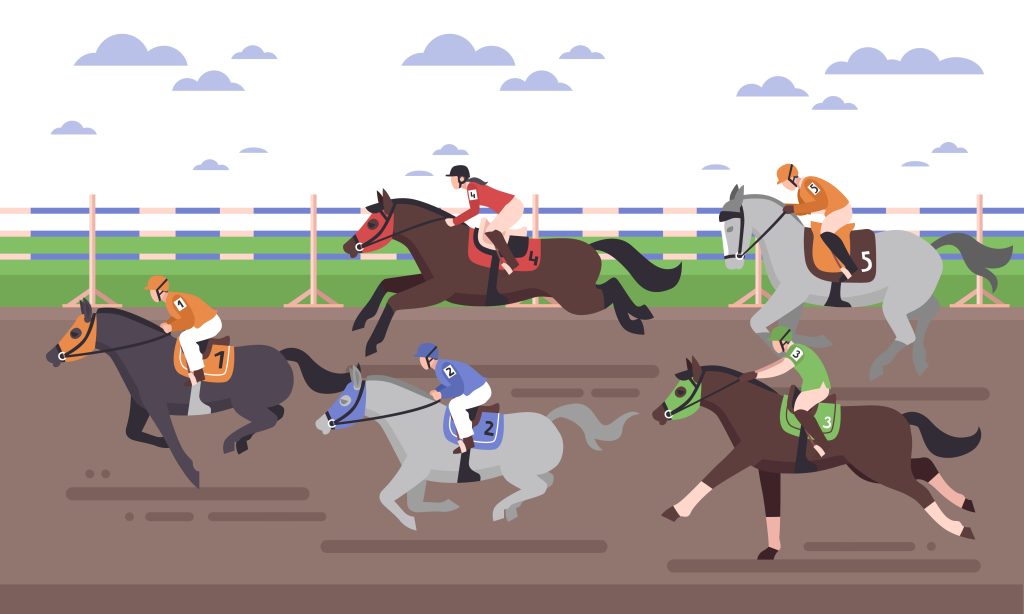 Steve Mellish: The Story of a TV Racing Pundit and Professional Gambler ...